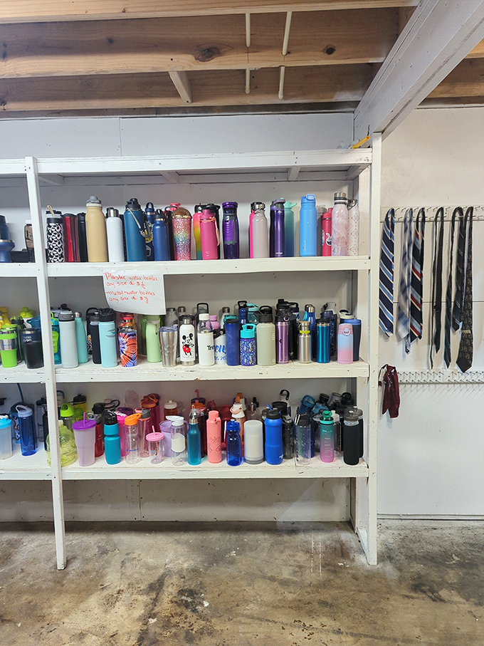 Water bottles and tumblers stand at attention like colorful soldiers – hydration options for every personality type in Florida's unforgiving heat.