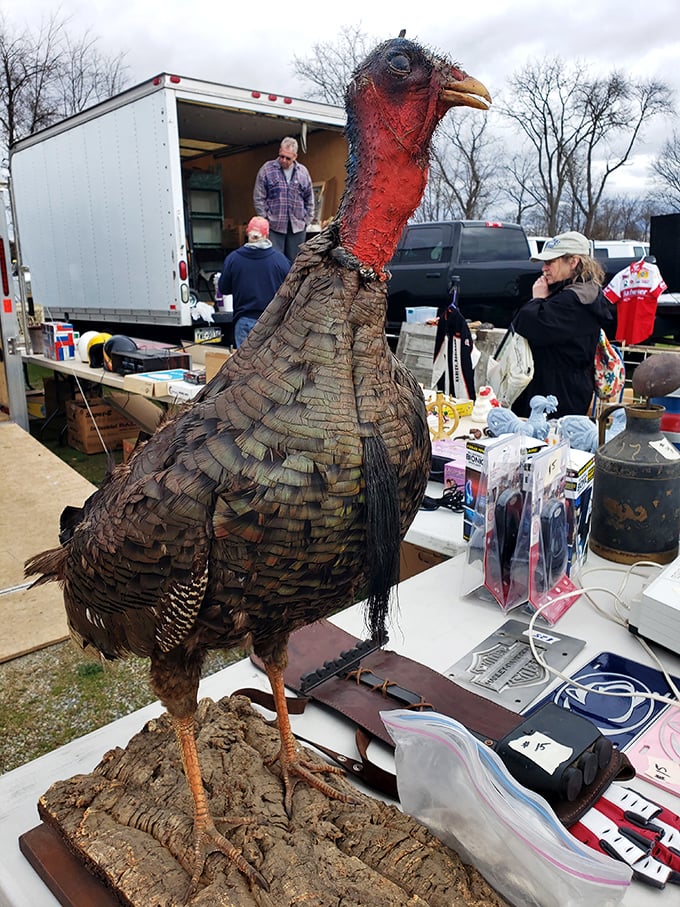 The most realistic turkey decoy you'll ever see, standing guard over a table of treasures like the world's most peculiar security system.