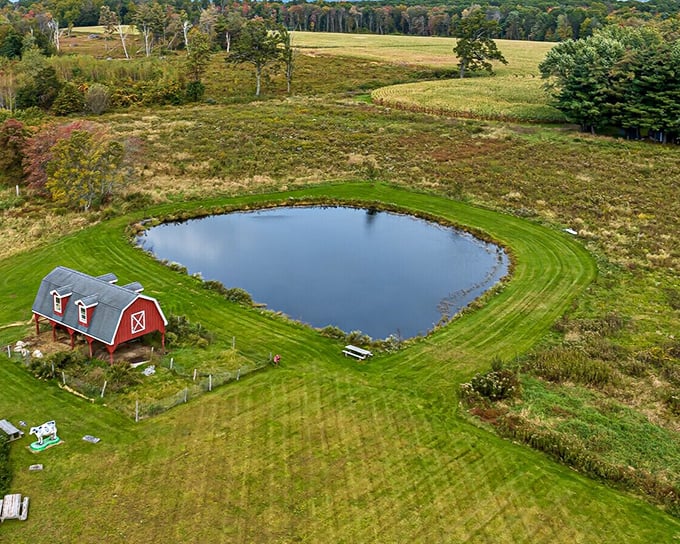A red barn and pond that looks like it was commissioned by the Department of Retirement Daydreams. Norman Rockwell would add this to his cart immediately.