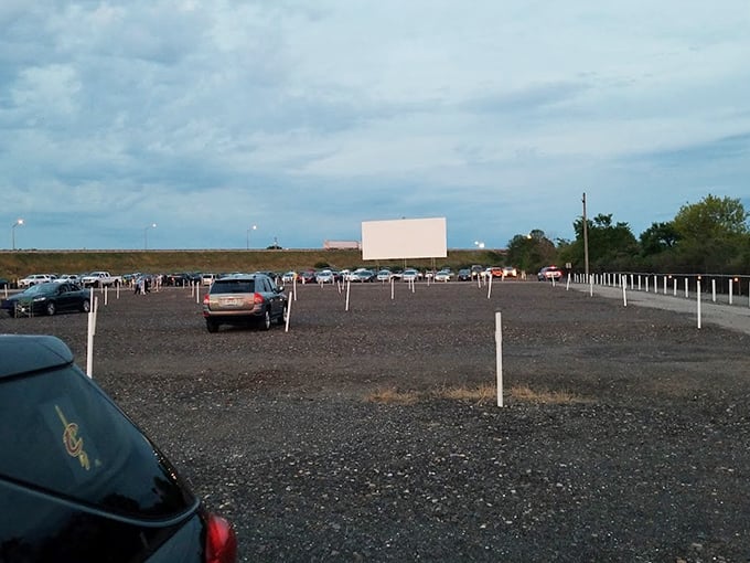 White poles stand like sentinels across the gravel lot, guiding cars to perfect viewing spots. The geometry of nostalgia, precisely arranged.