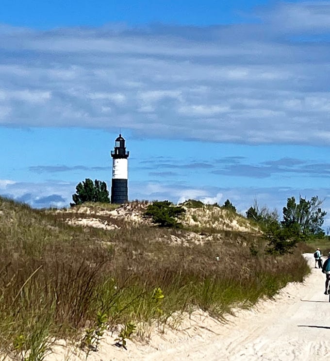 There it is—standing tall against the dunes like a black-and-white exclamation point on nature’s canvas.