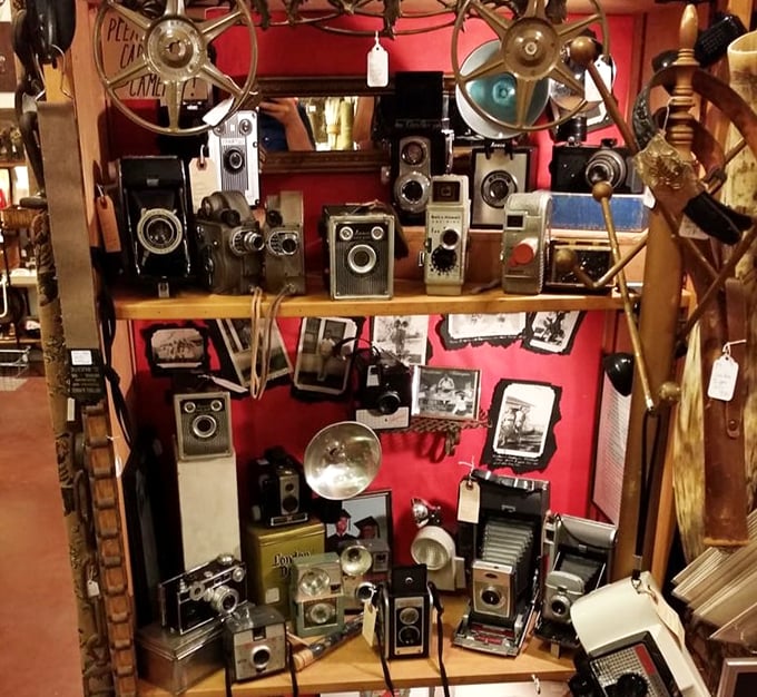 Vintage cameras capture more than memories—they freeze moments when photography required actual skill and patience.