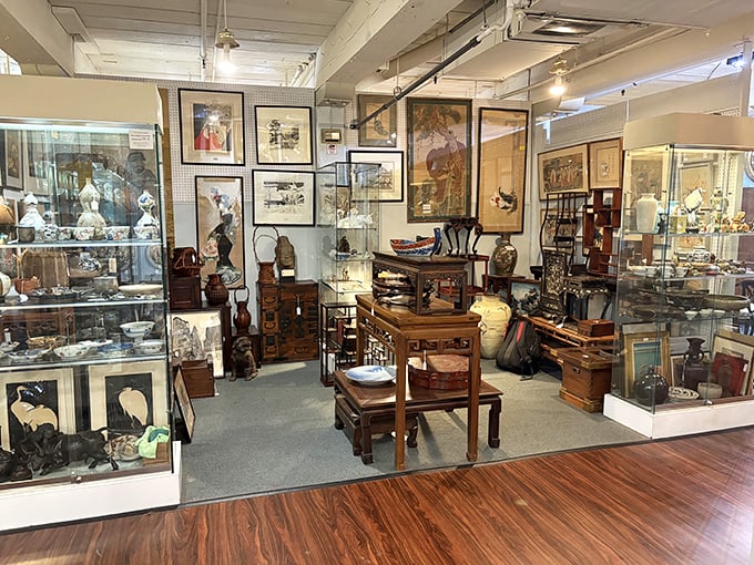 Industrial chic meets vintage charm in this beautifully organized space that makes browsing feel effortless.