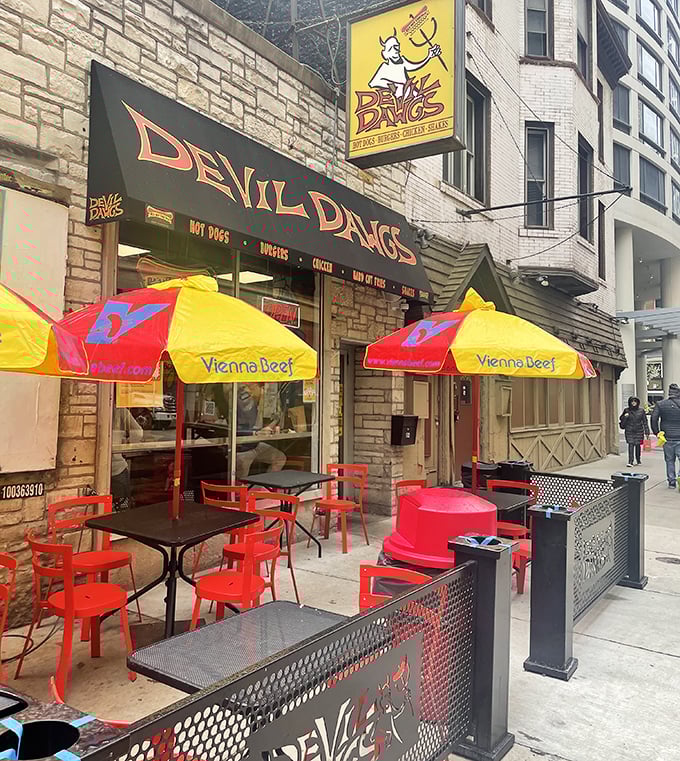 7a. devil dawgs on state (chicago)