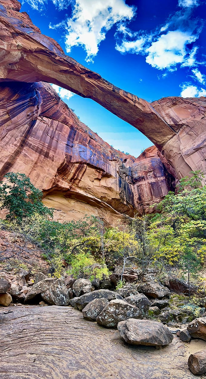 7a. escalante