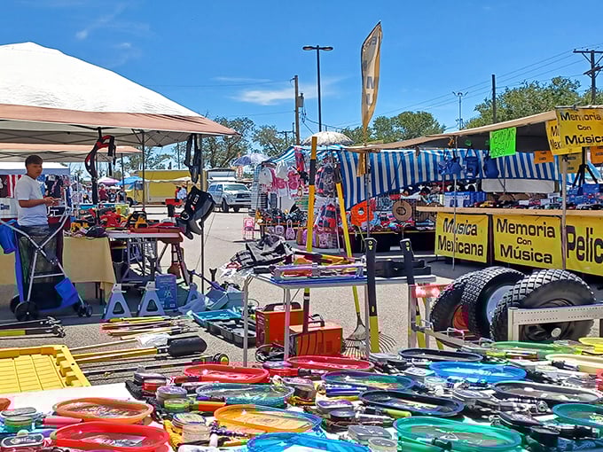 Tools, toys, and trinkets – the colorful chaos of Albuquerque's largest treasure hunt awaits the brave.