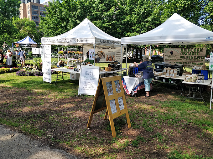 Green City Market—where urban dwellers reconnect with rural roots under a canopy of trees and white tents.