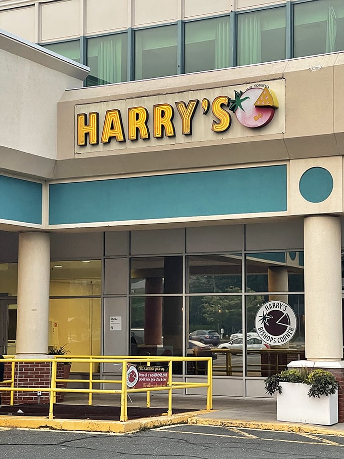 Harry's might share a parking lot with shops, but inside it's pure Neapolitan pizza paradise.