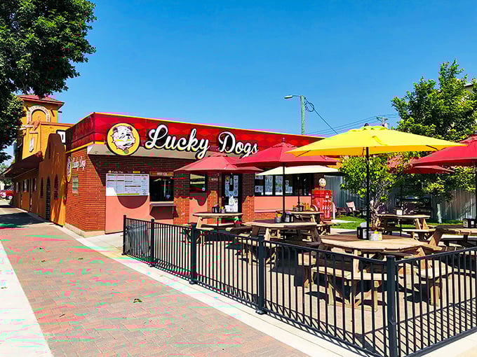 Lucky Dogs' cheerful patio scene is summer in Minnesota personified – sunshine, fresh air, and the perfect hot dog to complete the picture.
