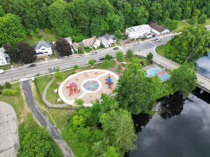 Palmer's bird's-eye views remind you that some of life's best pleasures are absolutely free.