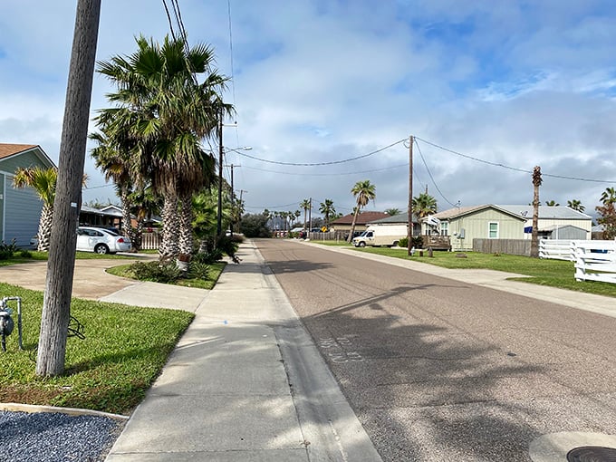 Port Aransas stretches along the coast where palm trees sway and life moves at beach time speed.