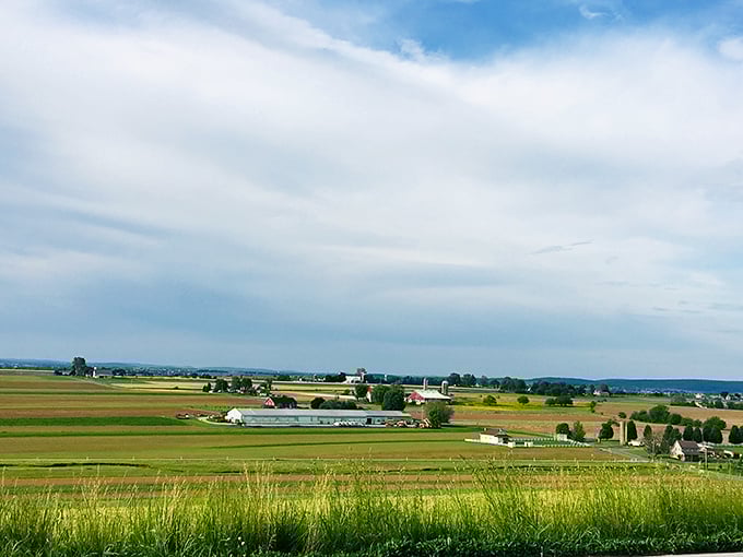 Ronks farmland stretches to the horizon – Mother Nature's masterclass in peaceful landscape design.