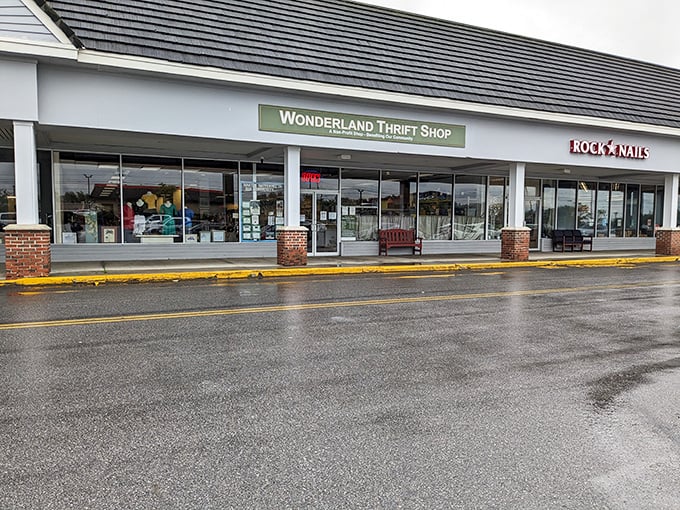 Wonderland's strip mall location proves that amazing finds can hide in the most unexpected neighborhood corners.