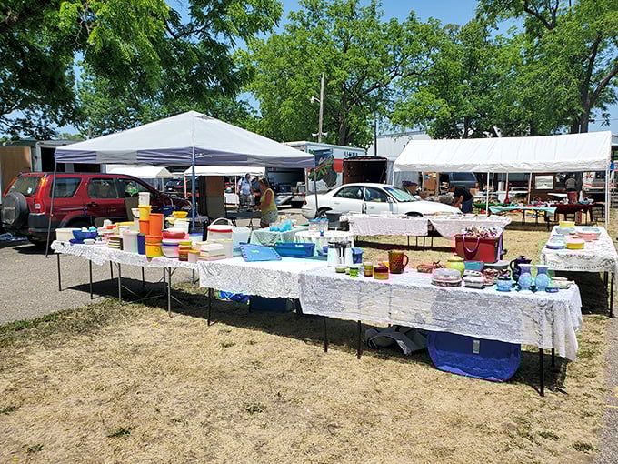 Allegan Antiques Market: "Vintage Pyrex paradise under summer skies. Where your grandmother's kitchen comes back to life—price tags included."