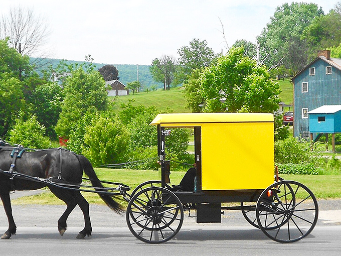 In Belleville, even the horses know it's worth the trip—the homemade root beer alone would justify the journey.