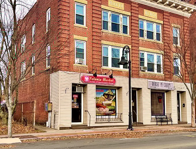 The brick storefronts line up like old friends, offering Polonia Market and local businesses that remember when shopping meant something.