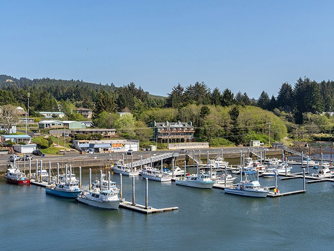 The waterfront at Depoe Bay offers more drama than daytime television—boats, bridges, and the constant character development of the changing tide.