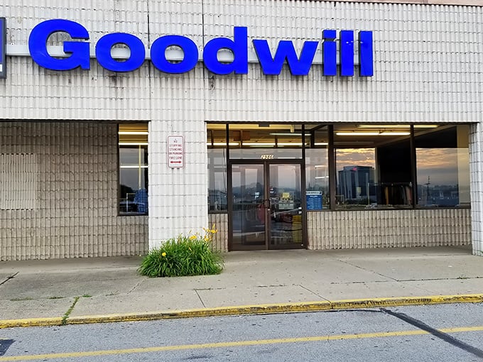 The clean, professional storefront proves that secondhand shopping has evolved into a respectable retail experience.