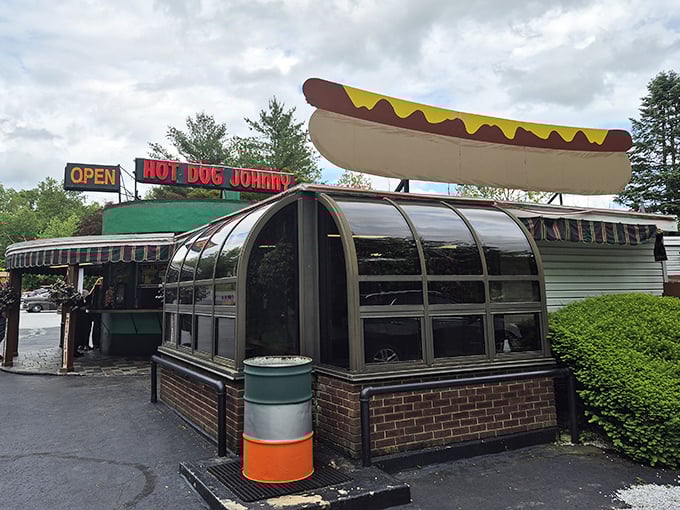 That distinctive curved roof has sheltered countless conversations over birch beer and hot dogs.