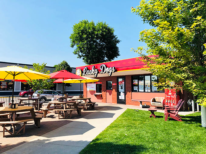 Those bright umbrellas aren't just for show – they're signaling all of Bemidji that serious hot dog happiness happens here.