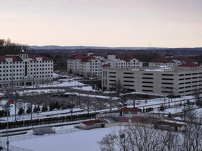 Blanketed in snow, Montclair’s hilltop campus glows with quiet beauty and timeless collegiate charm.