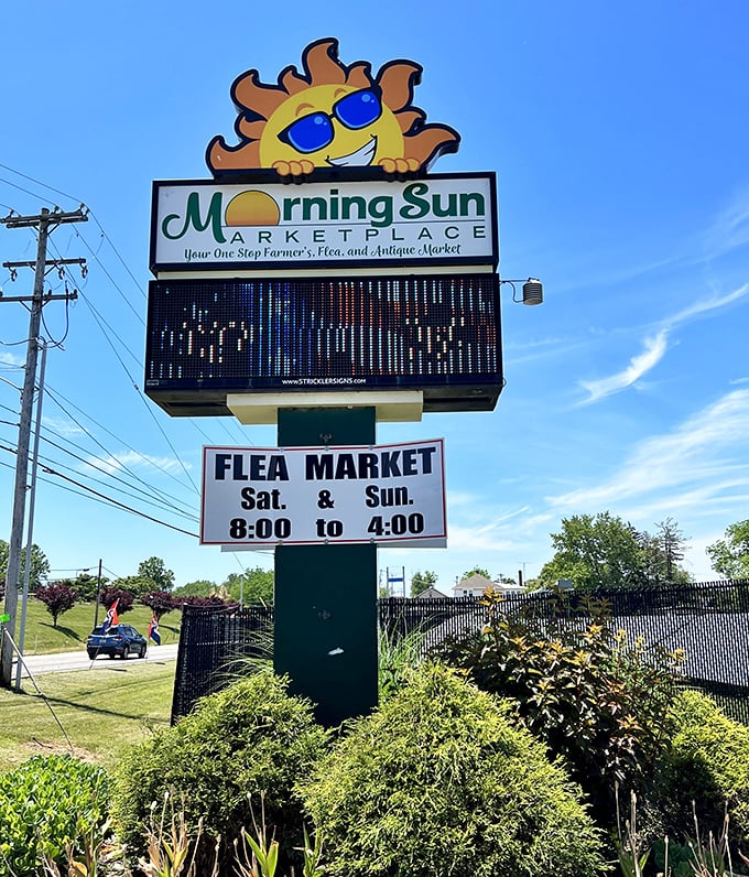 Professional setup proves flea markets have evolved while keeping their heart and soul intact beautifully.