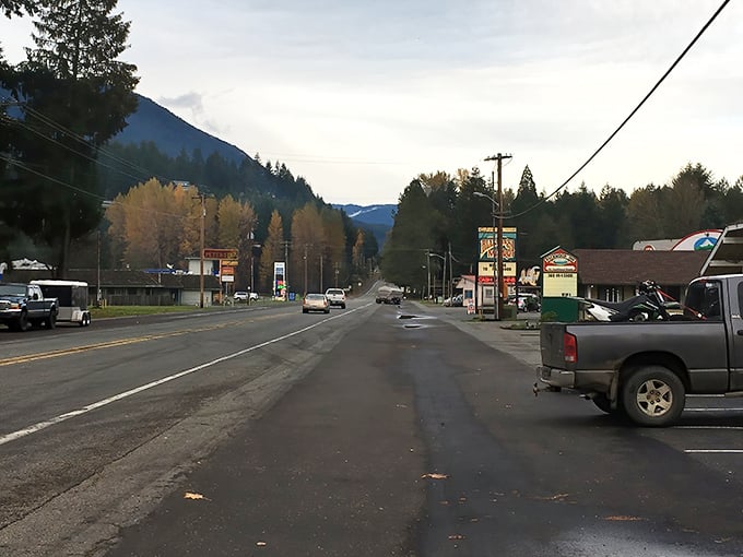 The road through Packwood leads to adventure in every direction. Those mountains aren't just scenery—they're your weekend playground!