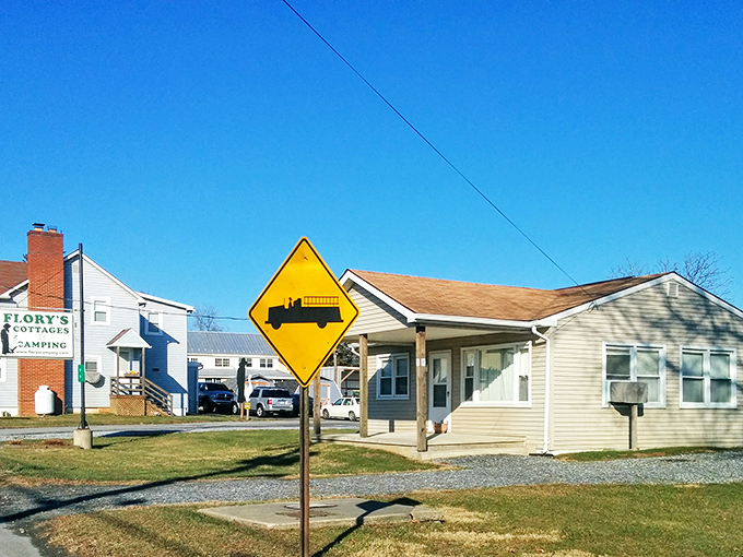 That yellow "Buggy Crossing" sign isn't decoration – it's a reminder you're in a place where time moves differently.