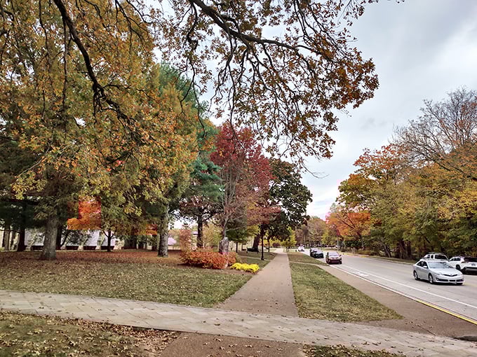 Fall transforms Sewanee's tree-lined streets into tunnels of gold and crimson, where even a simple walk becomes a journey through natural splendor.