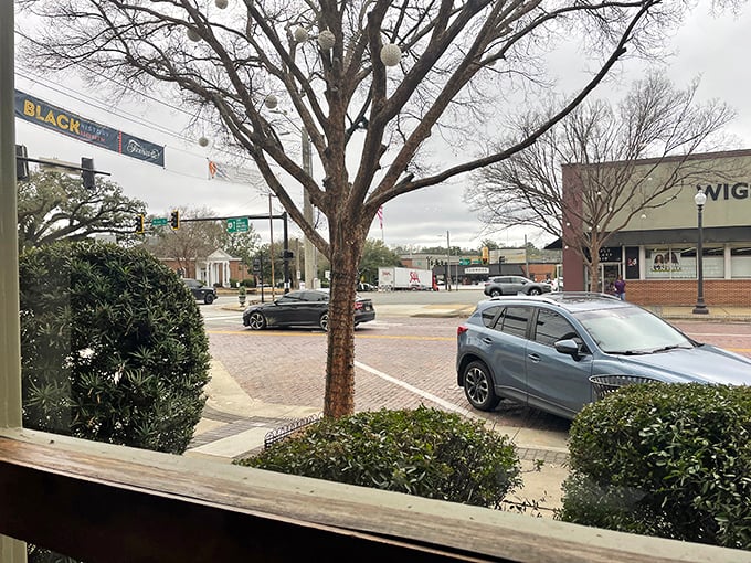 Thomasville through the winter branches—where Black Friday shoppers hunt bargains beneath festive lights and nobody's in too much of a hurry.