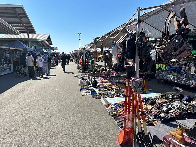 Professional displays and organized aisles make finding specific treasures easier than traditional flea market hunting.