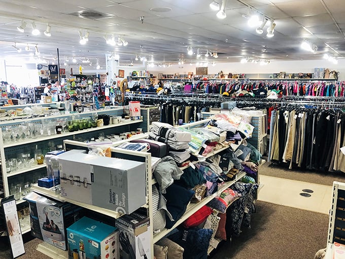 Inside this warehouse wonderland, your forty dollars transforms into a shopping cart full of pure possibility.