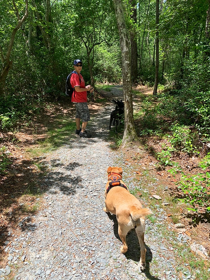 Four-legged hiking companions make the best trail guides. This gravel path through dense forest offers adventures for both two-legged and four-legged explorers alike.