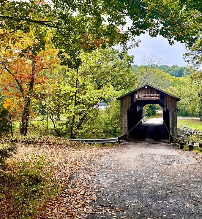 Fall foliage creates nature's perfect frame around the historic span, proving Michigan doesn't need New England for spectacular autumn views.
