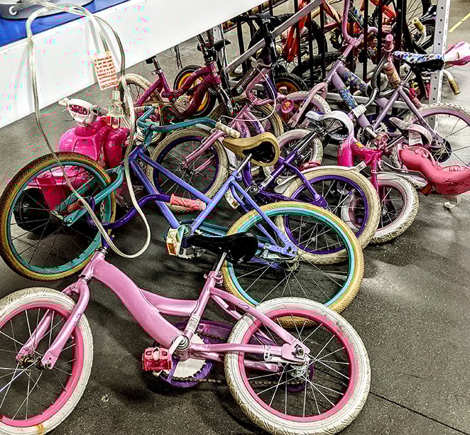 Colorful bikes ready to roll again – because wheels don't retire, they just find new riders to make memories with.