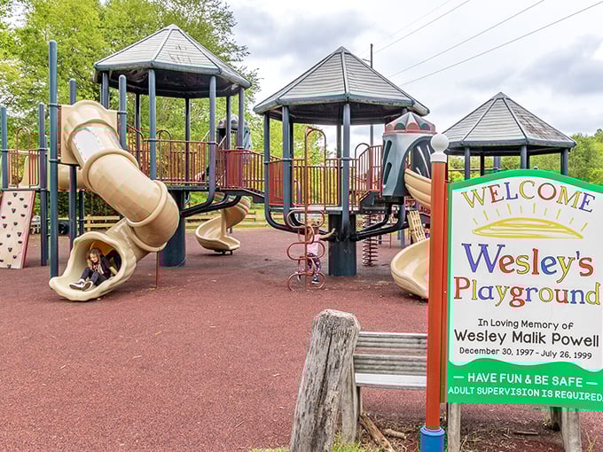 Wesley's Playground offers slides and climbing structures where kids can experience the original version of "streaming content" – actually moving outside in fresh air.