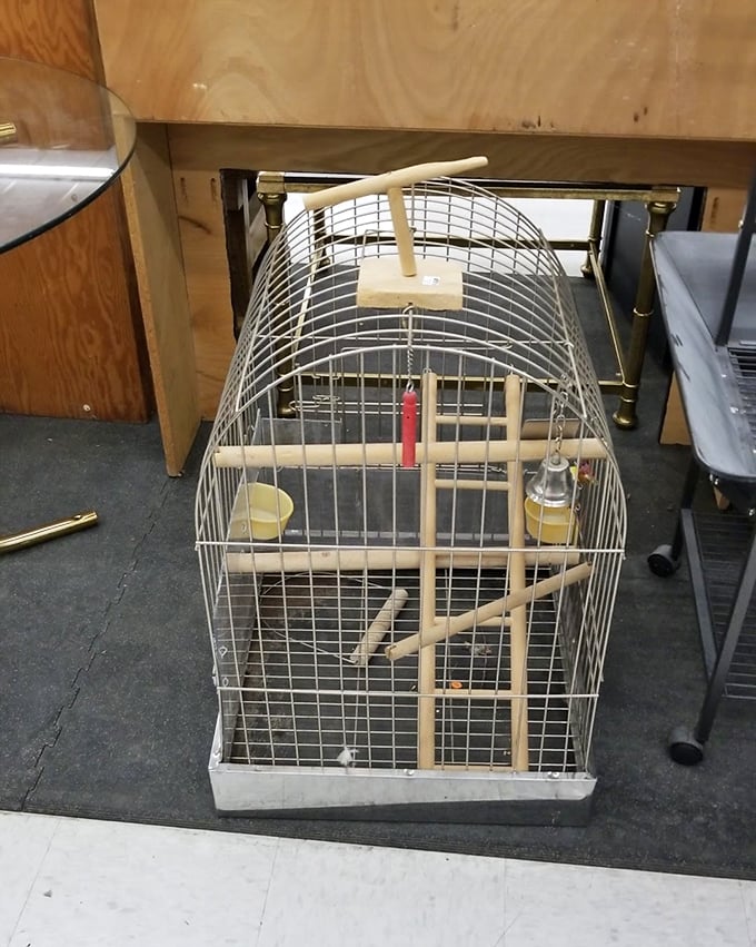 Not just for the birds! This vintage cage could become a quirky plant holder or conversation-starting decorative piece.