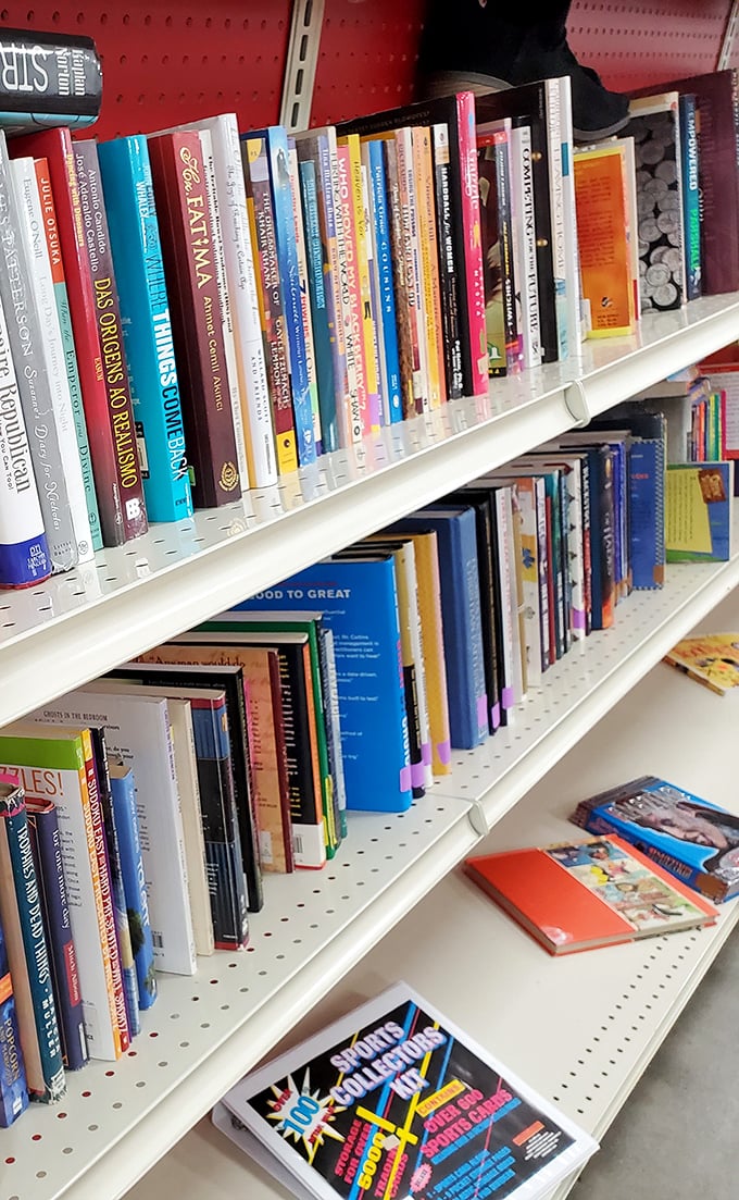 Books stacked with care—cookbooks that fed families, travel guides that inspired journeys, and self-help volumes that someone clearly didn't need anymore.