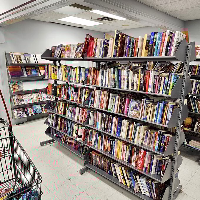 Bookworms rejoice! These shelves hold everything from forgotten bestsellers to obscure treasures—literary roulette at its finest.