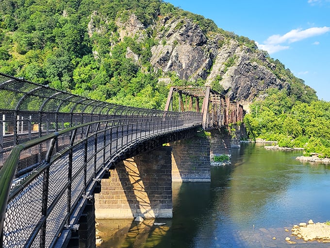 This pedestrian bridge isn't just a crossing—it's a front-row seat to nature's grandeur, suspended between everyday life and wilderness adventure.