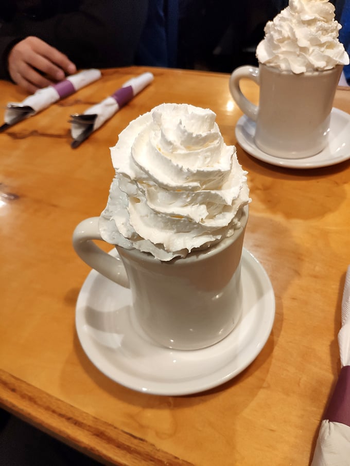 When whipped cream towers this high on hot chocolate, you know you've found a place that understands proper dessert-to-beverage ratios.