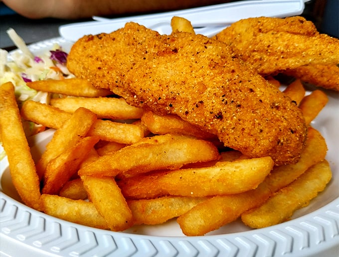 Catfish so perfectly fried it makes you wonder if there's a secret society of Southern grandmothers working in the kitchen.