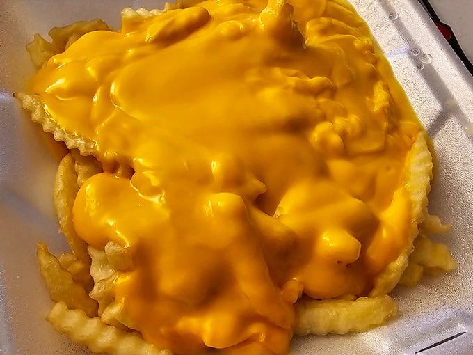 These cheese fries aren't just a side—they're the main event. Golden, crispy potatoes swimming in a sunshine-yellow cheese sauce that demands your full attention.