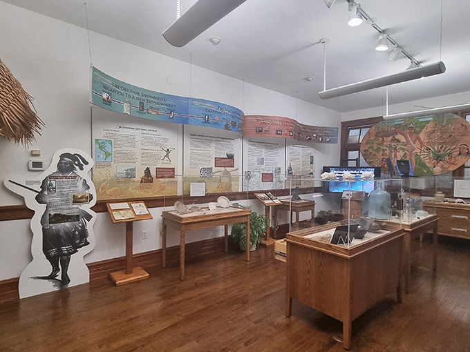 Inside the Historical Society, artifacts tell stories of Florida before Mickey Mouse – when alligators were the main attraction.