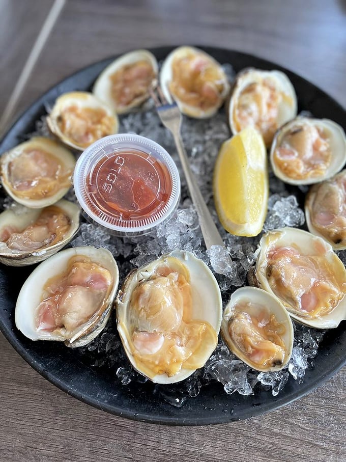 Fresh clams on ice—nature's perfect appetizer requiring nothing more than a squeeze of lemon and a moment of gratitude. Ocean candy at its finest. 