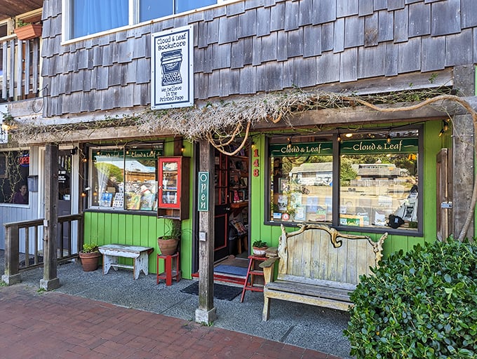 Cloud & Leaf Bookstore isn't just a shop, it's a literary sanctuary where beach reads meet literary gems under weathered cedar shingles.