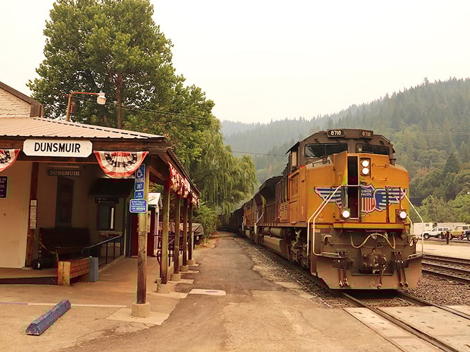 The Amtrak station preserves Dunsmuir's railroad roots, where the Coast Starlight still stops daily. Travel like it's 1950, but with better coffee.