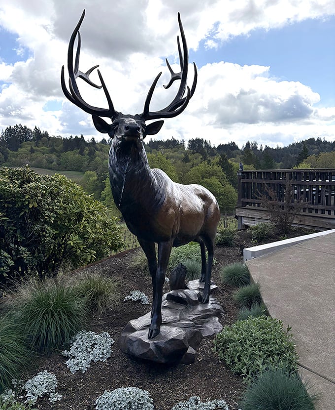 Not just any elk statue—this majestic beast stands guard over the vineyard like a bronze sommelier with really impressive antlers.