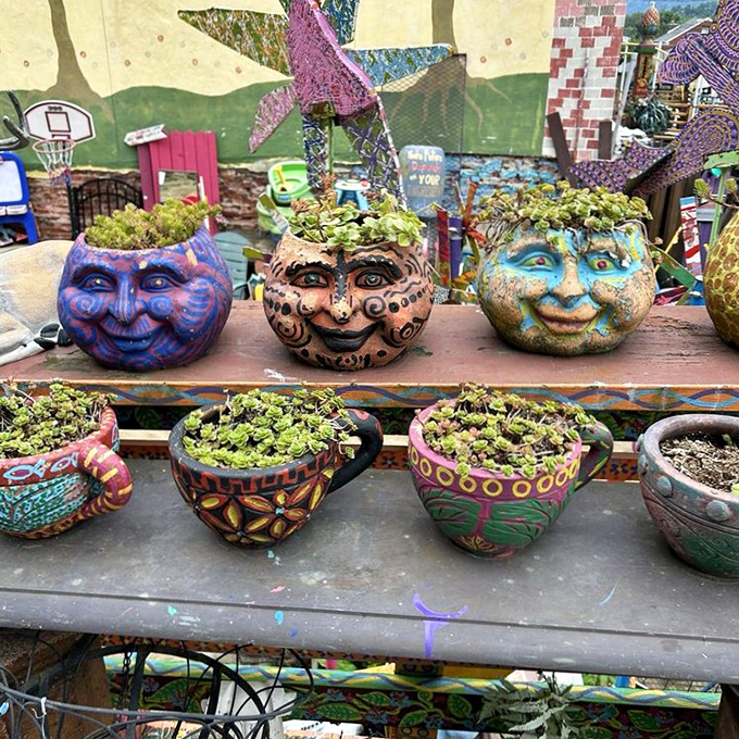 These face planters aren't just containers—they're characters in Randyland's ongoing story, each with personality sprouting from their heads.