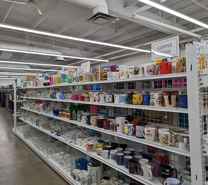 The coffee mug section alone could tell a thousand stories – from corporate retreats and family vacations to abandoned gift exchanges.